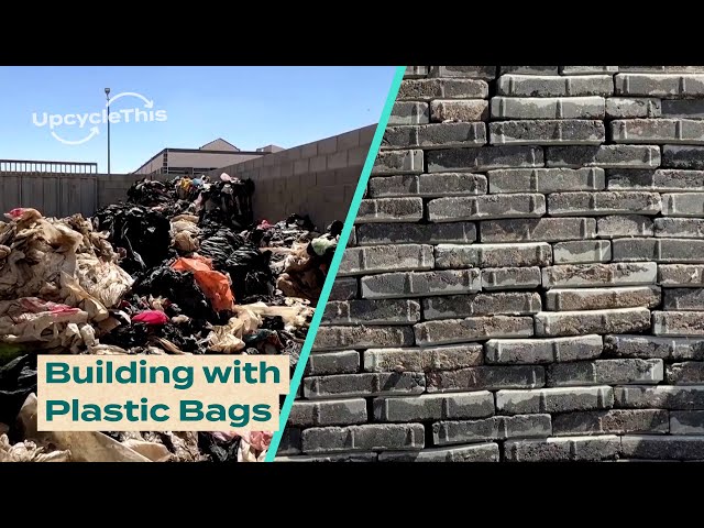 Egyptian Startup Turns Plastic Waste Into Eco-Friendly Tiles | SchoolTube Egyptian Startup Turns Plastic Waste Into Eco-Friendly Tiles | SchoolTube