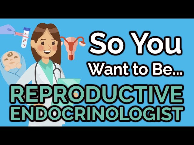 Reproductive Endocrinology And Infertility A Career Guide Schooltube