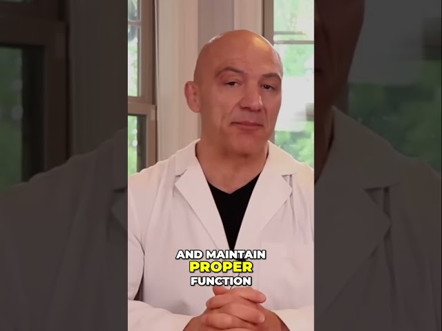 Stem Cell Regeneration: Unlock Your Body's Healing Power | SchoolTube Stem Cell Regeneration: Unlock Your Body's Healing Power | SchoolTube