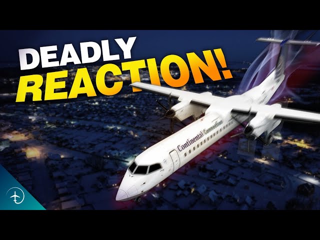 The Pinnacle Airlines Crash A Turning Point In Aviation Safety Schooltube