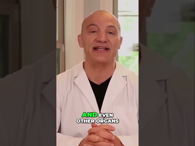 Unlock Your Body's Potential: The Stem Cell Diet | SchoolTube Unlock Your Body's Potential: The Stem Cell Diet | SchoolTube