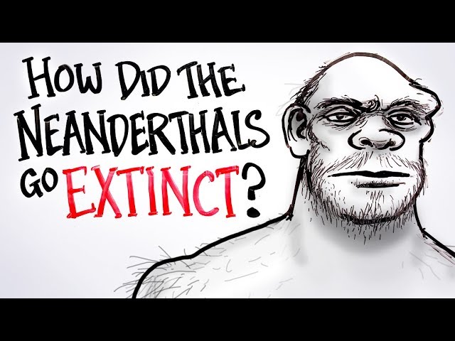 Neanderthal Extinction: What Happened to Our Closest Relatives ... Neanderthal Extinction: What Happened to Our Closest Relatives ...