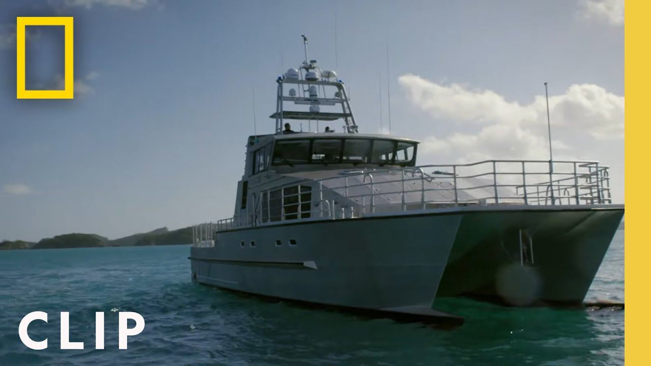 Behind the Scenes: Customs Smuggling and Border Security | SchoolTube Behind the Scenes: Customs Smuggling and Border Security | SchoolTube